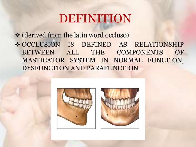 Development of occlusion | PPT