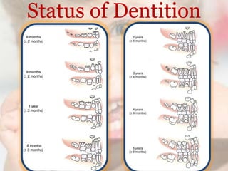 Development of occlusion | PPTX