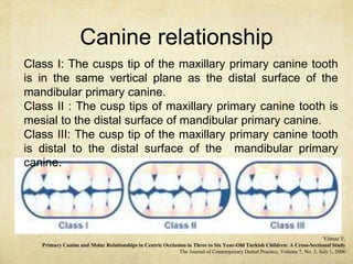 Development of occlusion | PPT