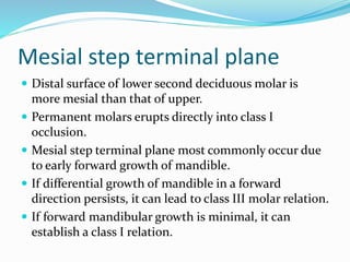 Development of occlusion | PPTX