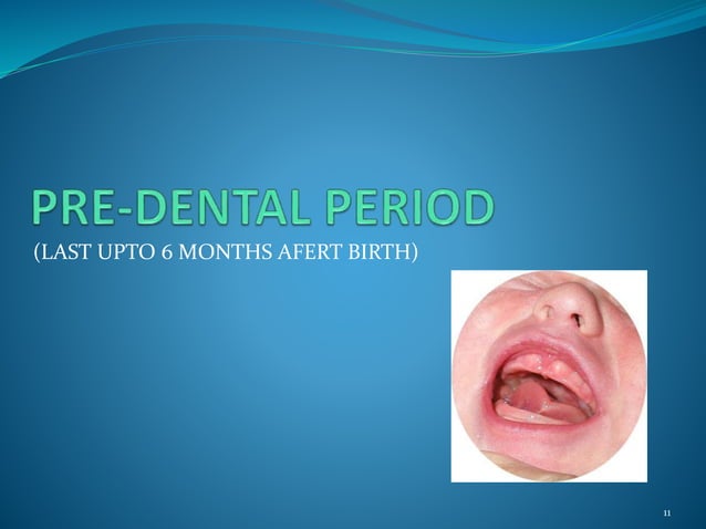 Development of occlusion | PPT