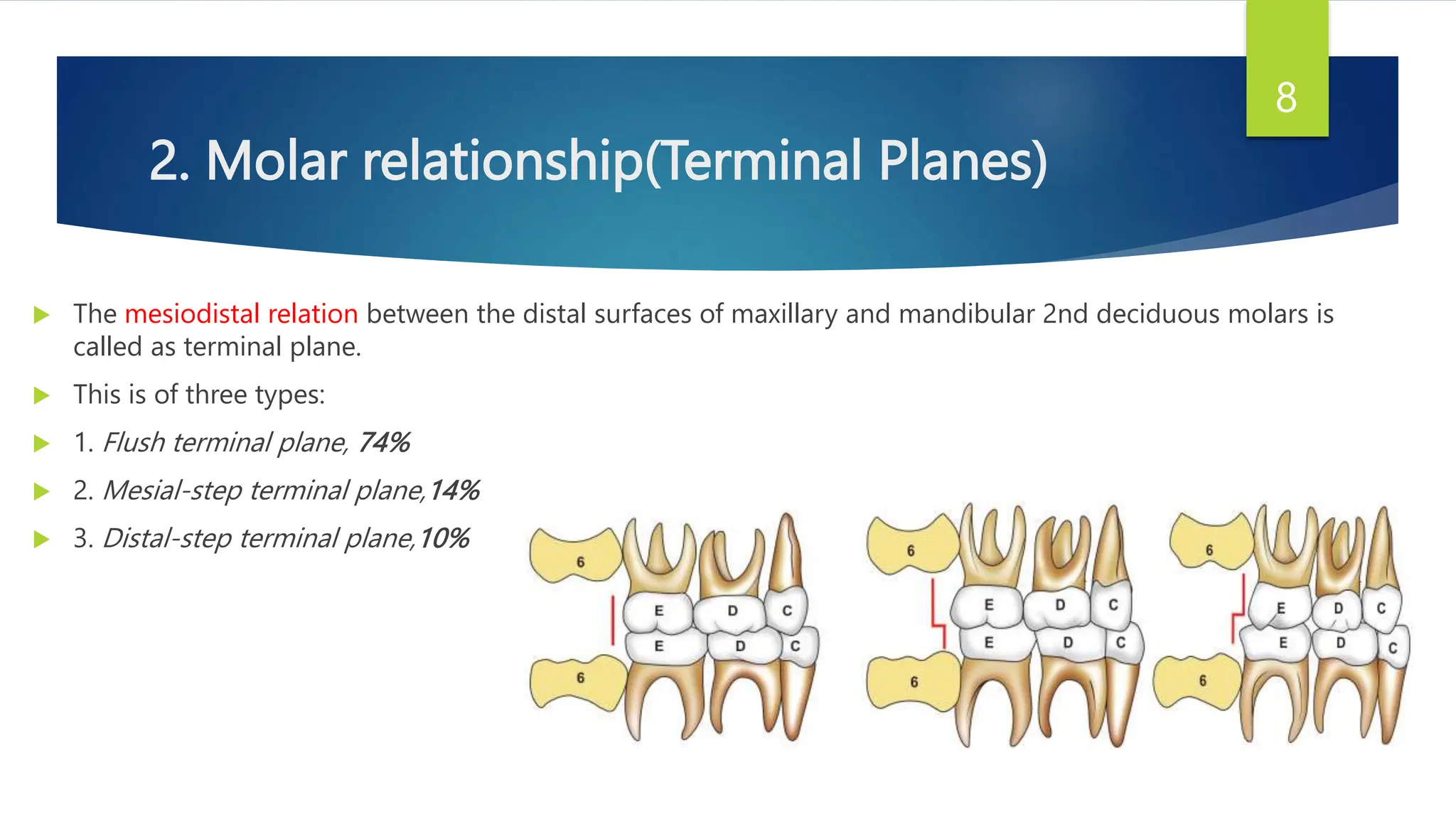 Developmensssssssssssssssssssssst of occlusion.pptx