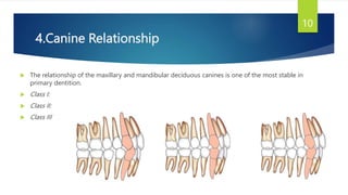 Developmensssssssssssssssssssssst of occlusion.pptx
