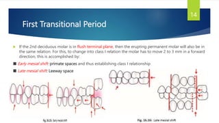 Developmensssssssssssssssssssssst of occlusion.pptx