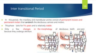 Developmensssssssssssssssssssssst of occlusion.pptx