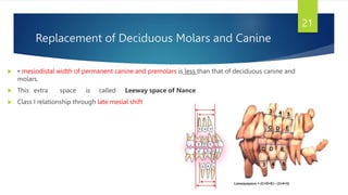 Developmensssssssssssssssssssssst of occlusion.pptx