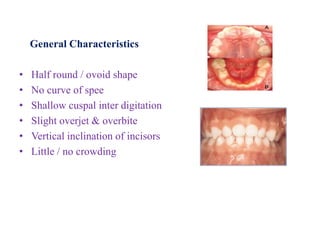 Development of Occlusion from infancy to adolescence. PPT | PPTX