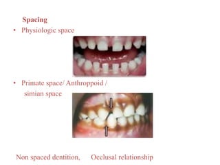 Development of Occlusion from infancy to adolescence. PPT | PPTX ...