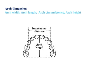 Development of Occlusion from infancy to adolescence. PPT | PPTX