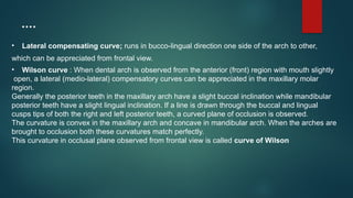 development of occlusion.pptx ugly duckling, leeway space | PPTX