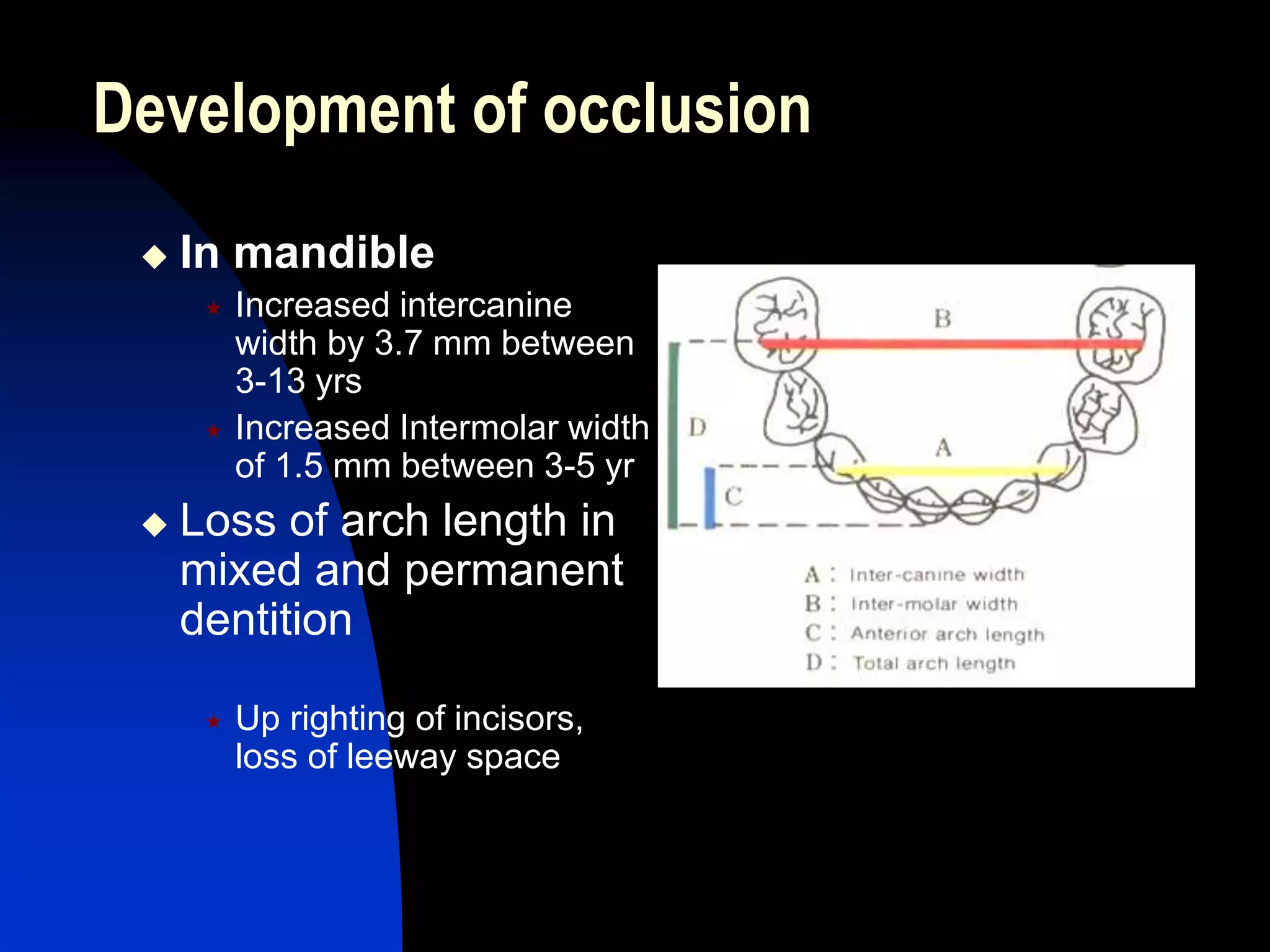 DEVELOPMENT OF OCCLUSION - final.ppt