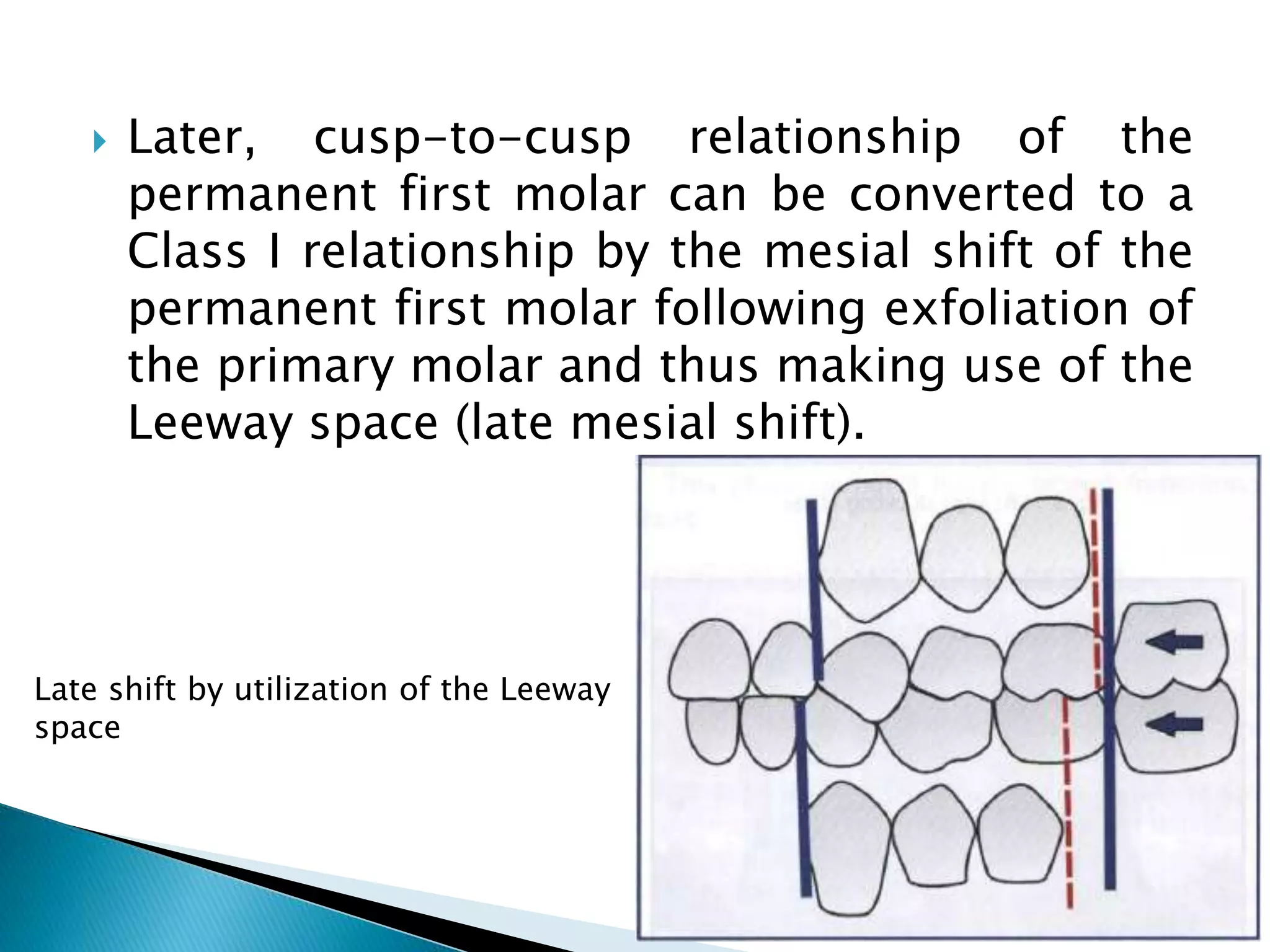 Development of occlusion | PPTX