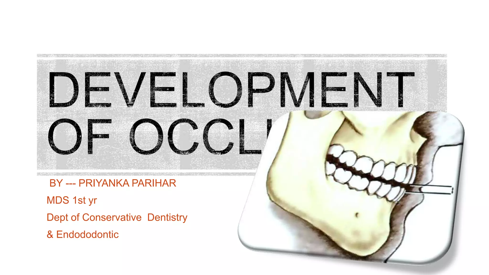 Development of occlusion | PPTX