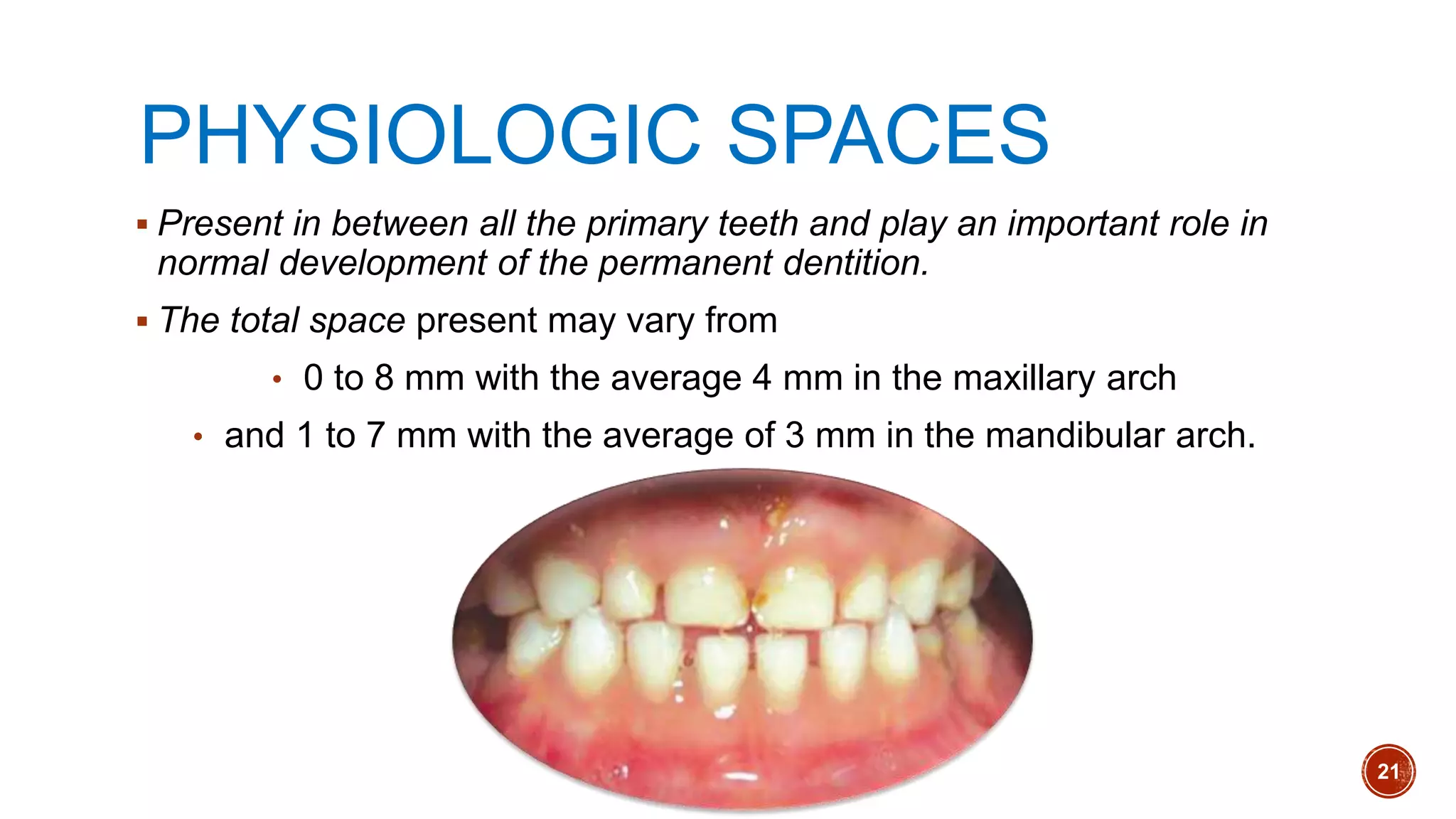 Development of occlusion | PPTX