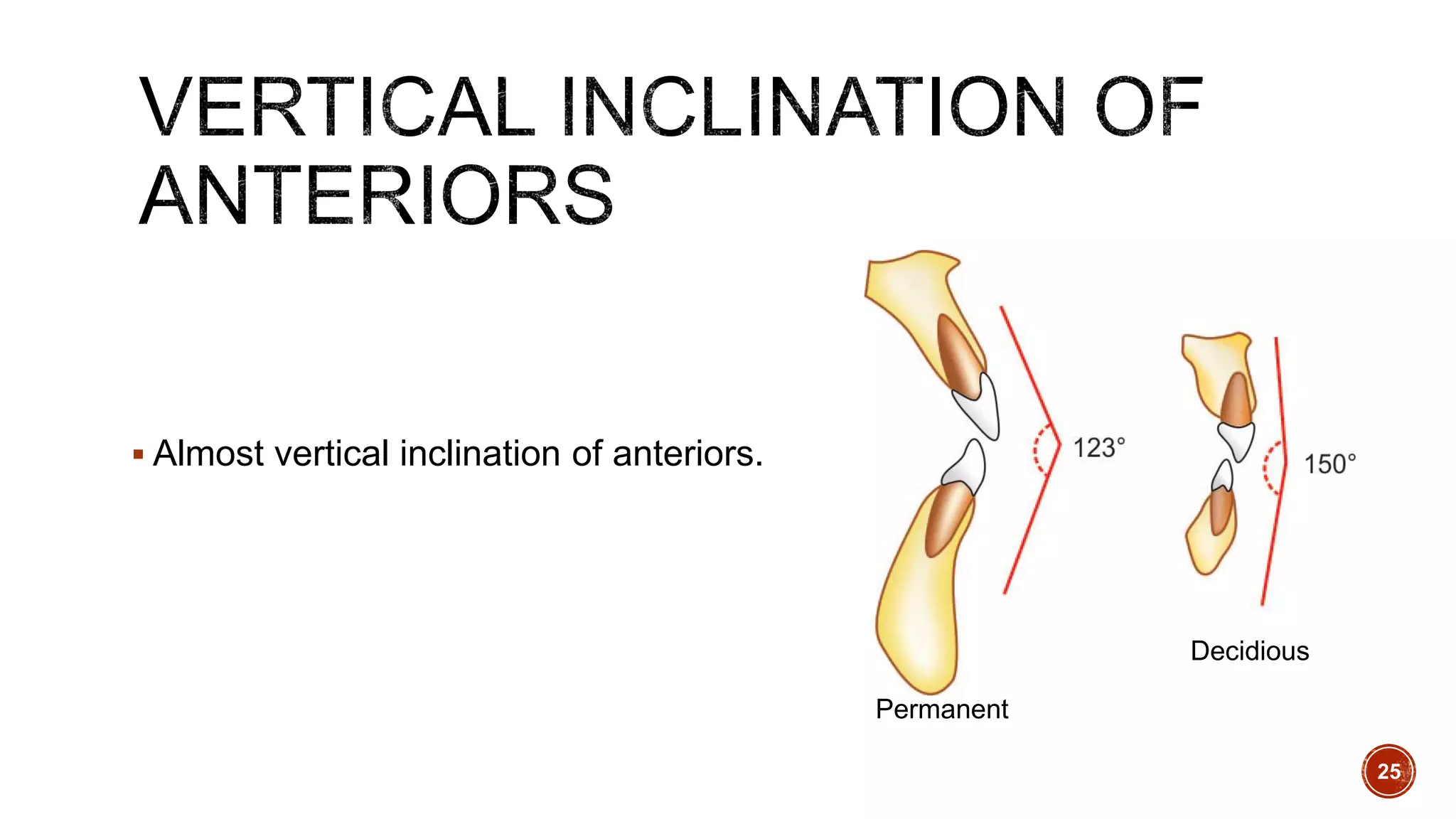 Development of occlusion | PPTX