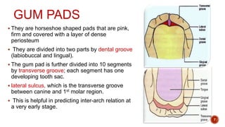 Development of occlusion | PPTX