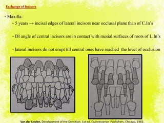 Development of Occlusion.pptx