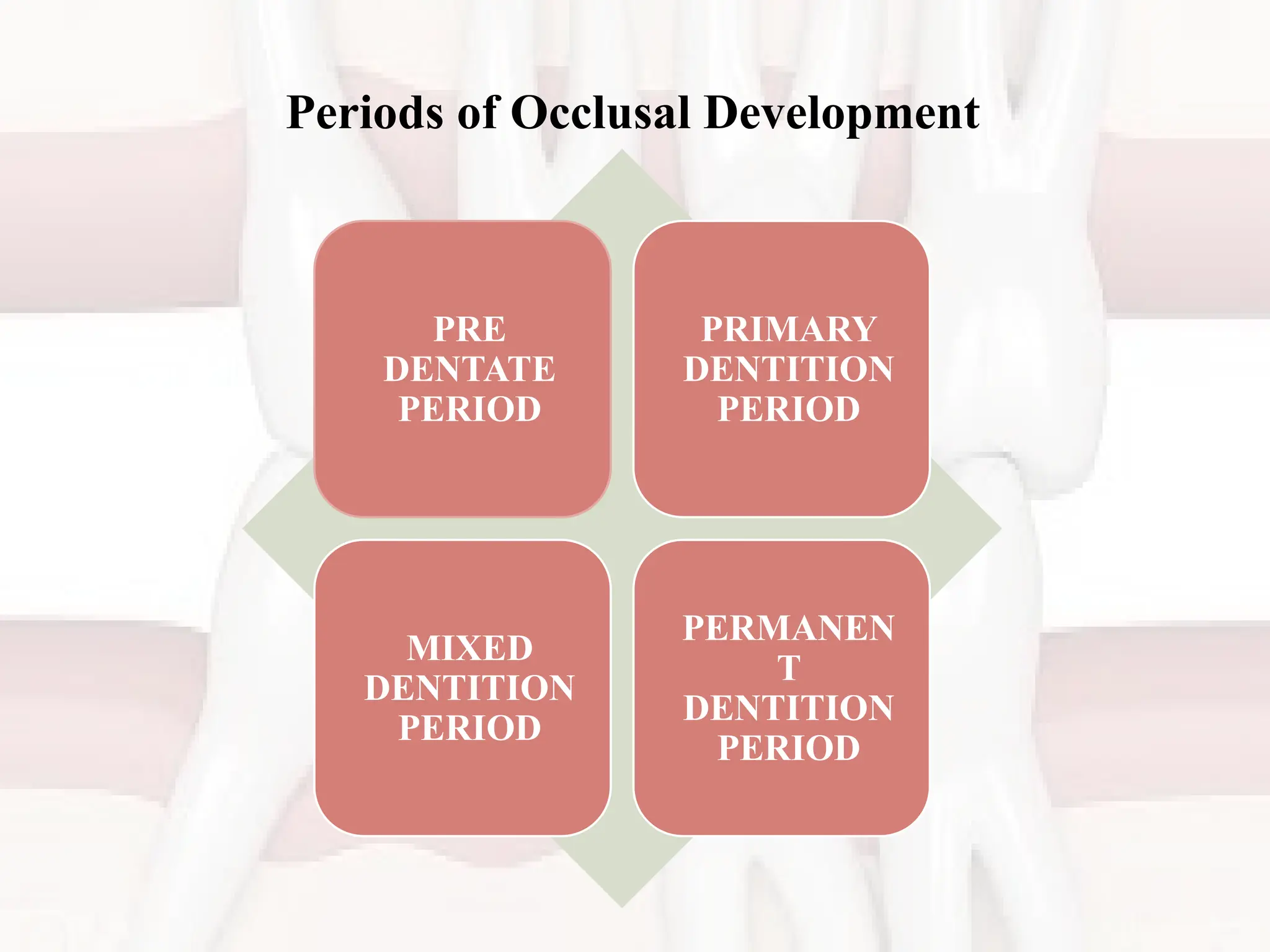Development of occlusion from birth to adolescence and dimensional ...