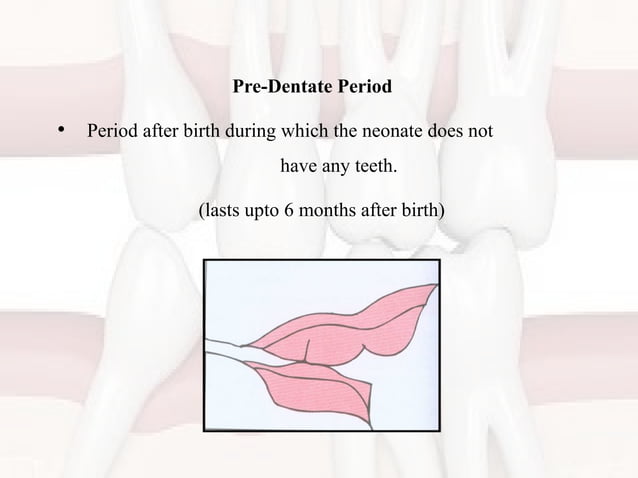Development of occlusion from birth to adolescence and dimensional ...