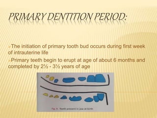 Development of occlusion from birth to primary dentition.pptx