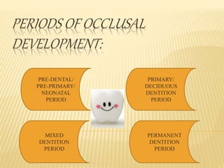Development of occlusion from birth to primary dentition.pptx