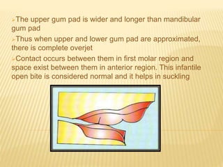Development of occlusion from birth to primary dentition.pptx