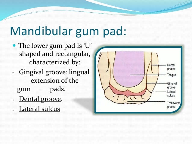 Occluded Front Definition For Kids