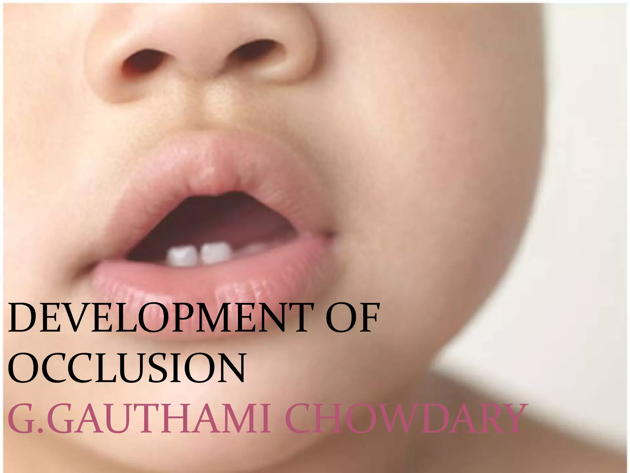 Development of occlusion | PPT