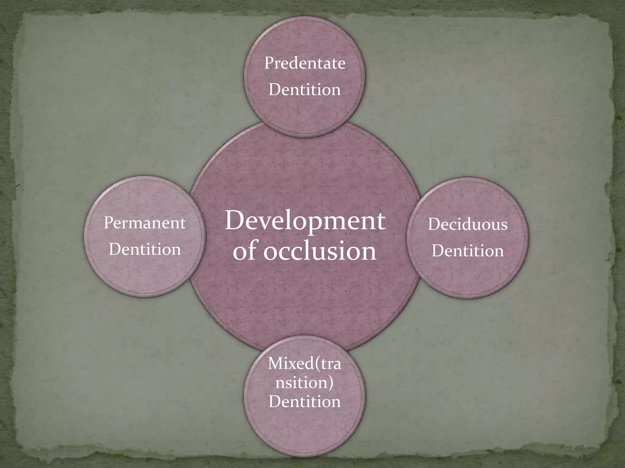 Development of occlusion | PPT