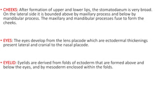Development of oral cavity and face .ppt by dr. samidha arora | PPTX