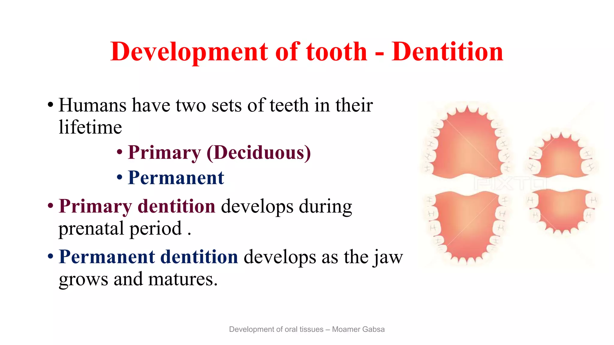 Development of dental tissues.ppt