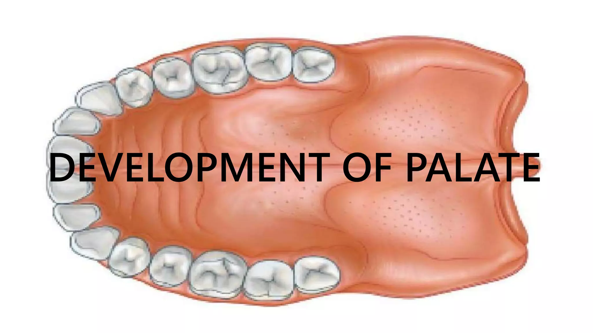 Development of palate | PPTX