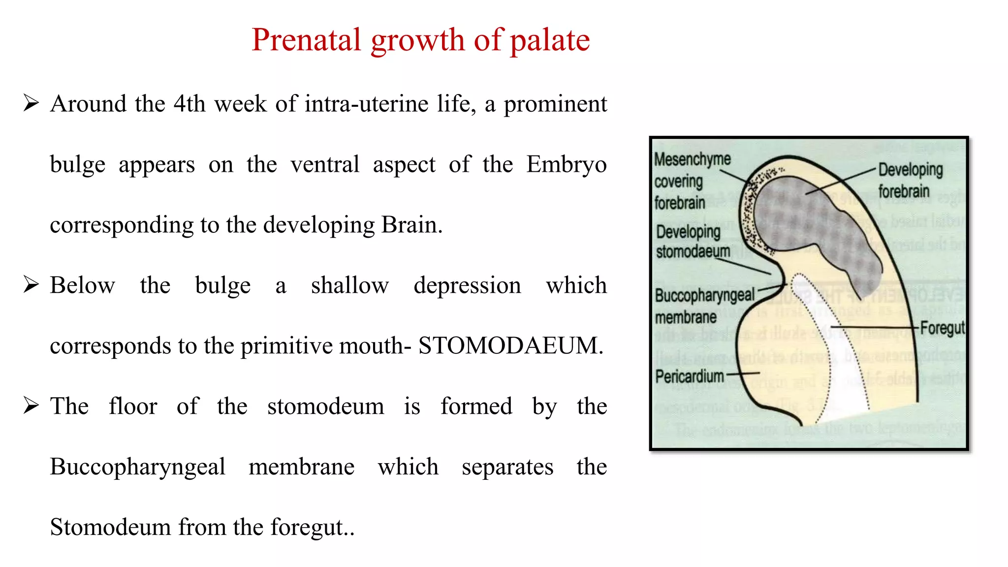 Development of palate | PPTX