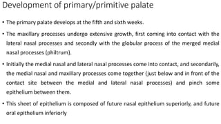 Development of palate | PPTX