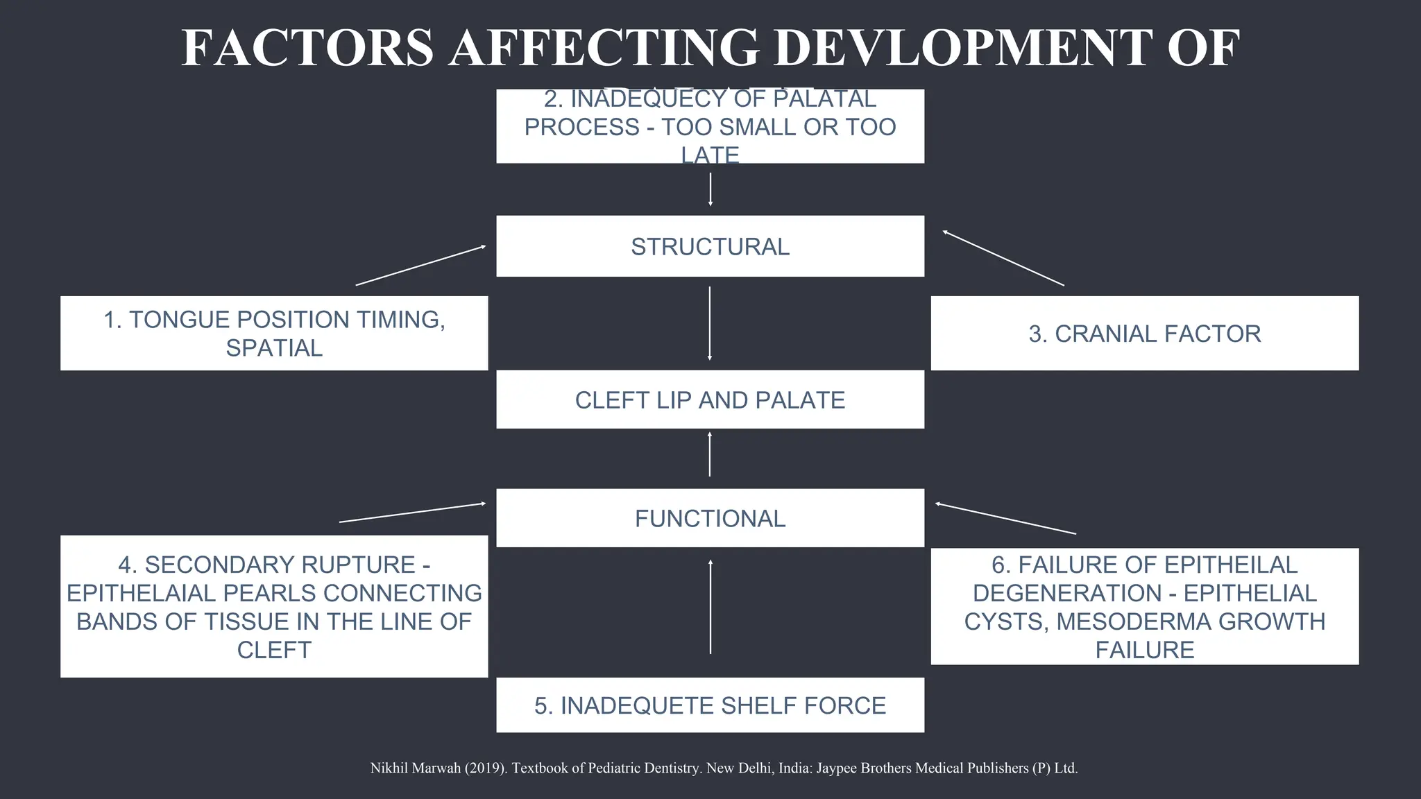 Development of Palate and its Anamolies.pptx