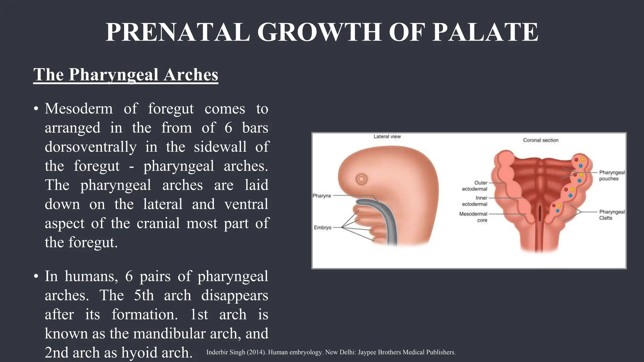 Development of Palate and its Anamolies.pptx