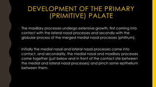 Development of palate.pptx palatal development | PPTX