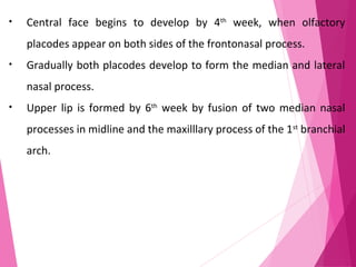 Development of Palate and Tongue PPT | PPT