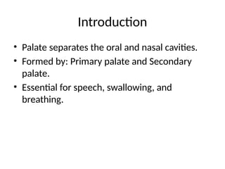 Development_of_Palate_Seminar pptfree.pptx
