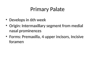 Development_of_Palate_Seminar pptfree.pptx