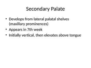 Development_of_Palate_Seminar pptfree.pptx