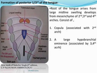 Development of palate, tongue, maxilla and mandible | PPTX