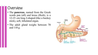Development of pancreas from pices to mammals. | PPT