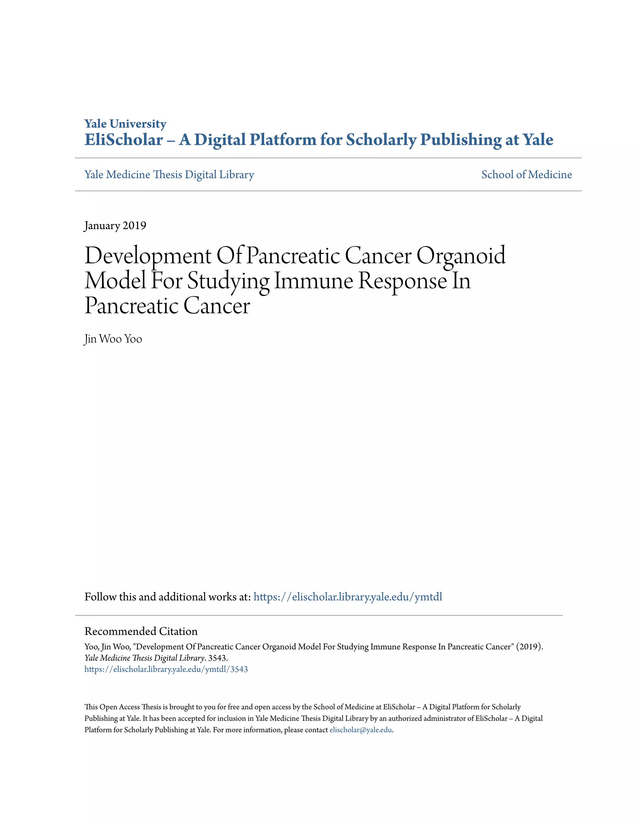 Development of pancreatic cancer organoid model for studying immune ...