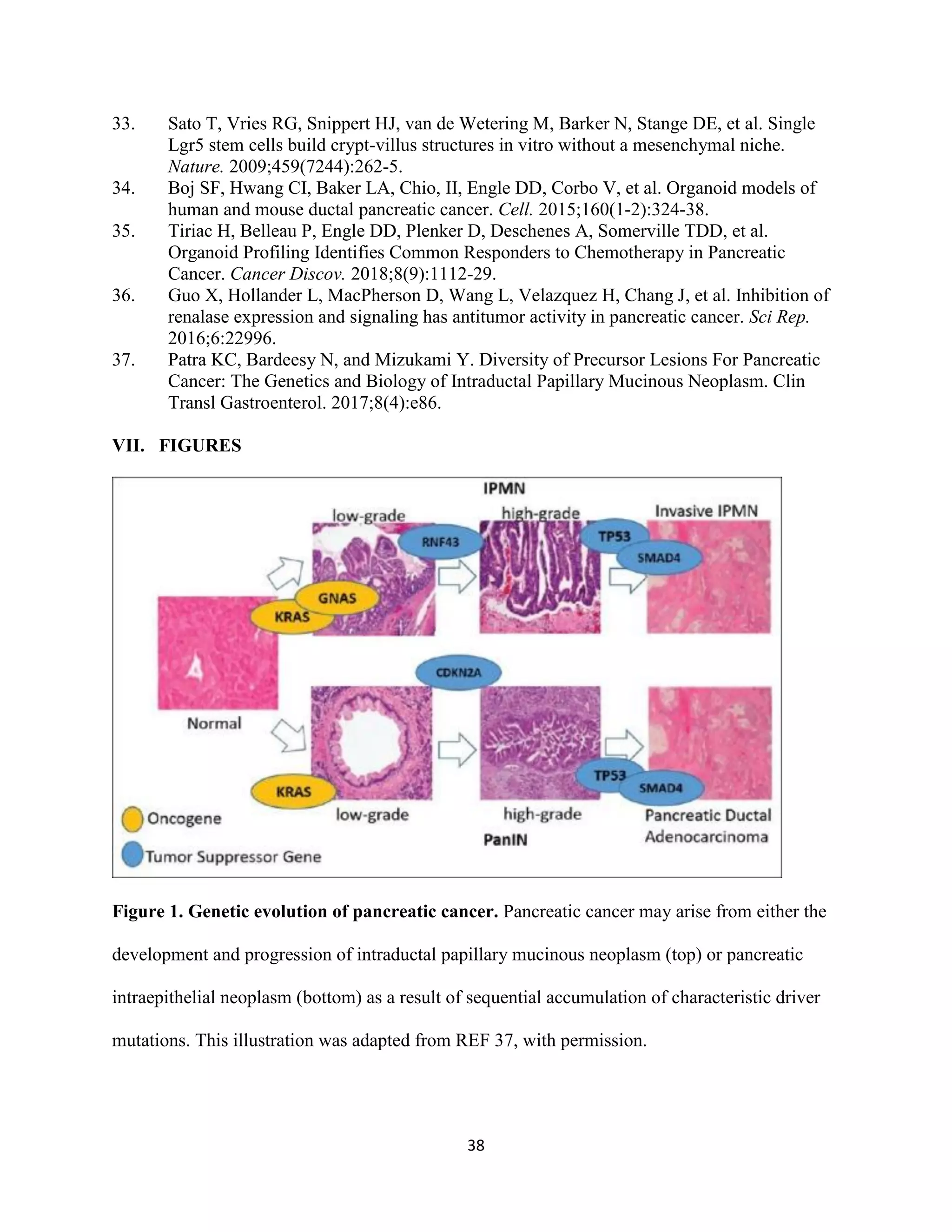 Development of pancreatic cancer organoid model for studying immune ...