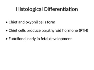 Development_of_ the _Parathyroid_Gland.pptx