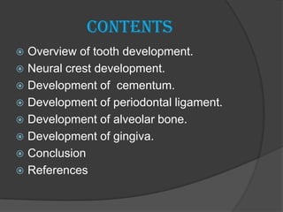 Development of periodontium. periodontics | PPTX