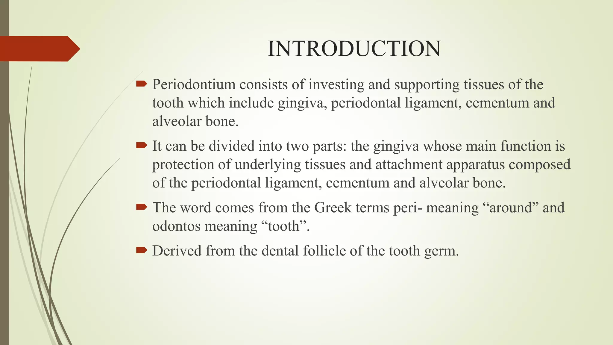 Development of periodontium | PPTX