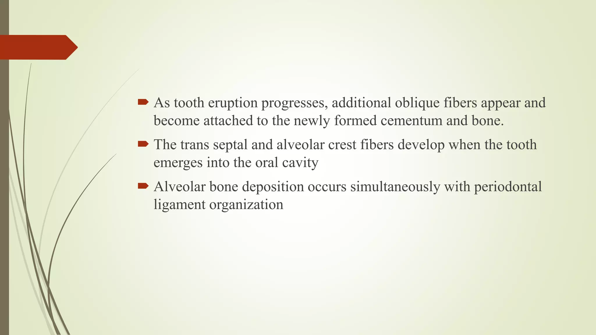 Development of periodontium | PPTX
