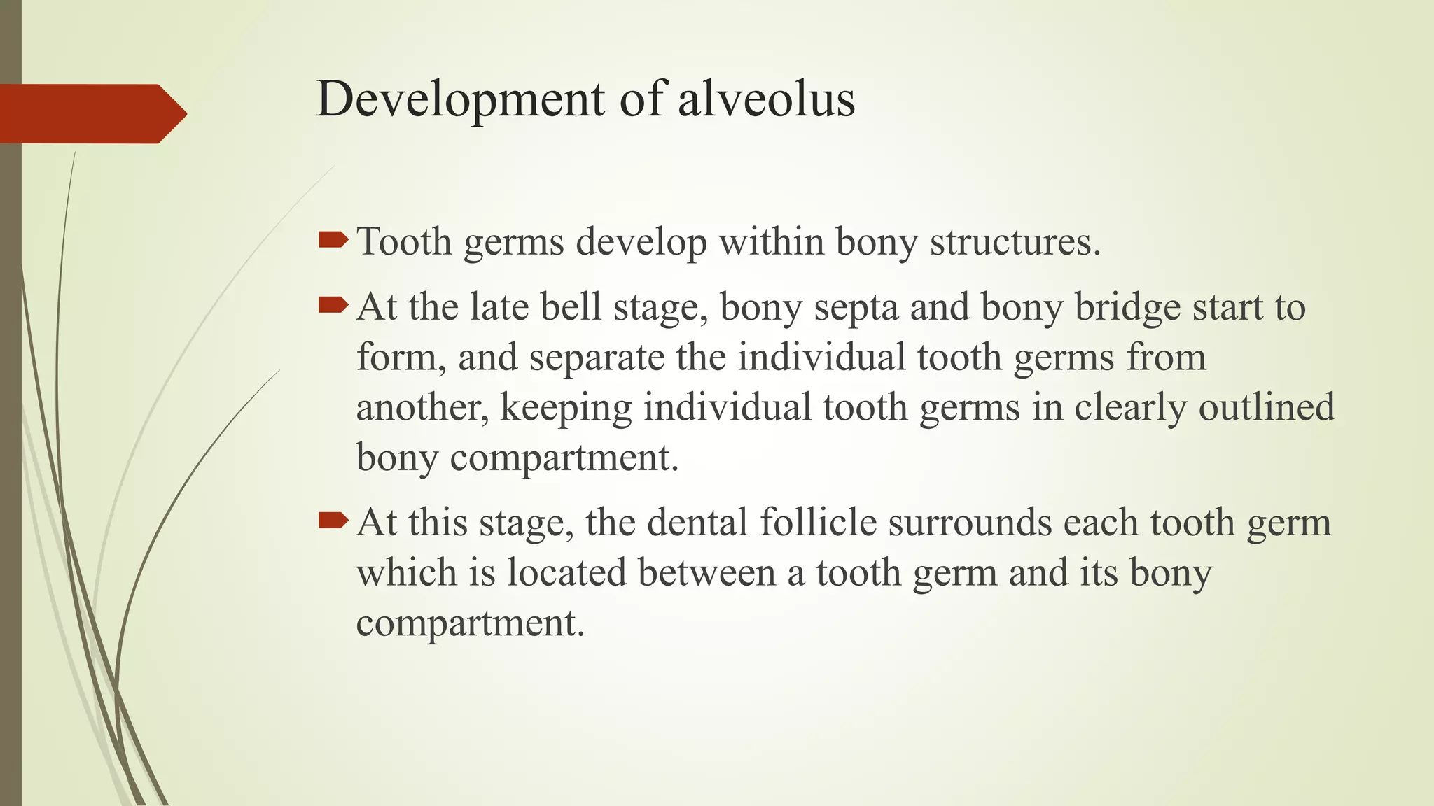 Development of periodontium | PPTX